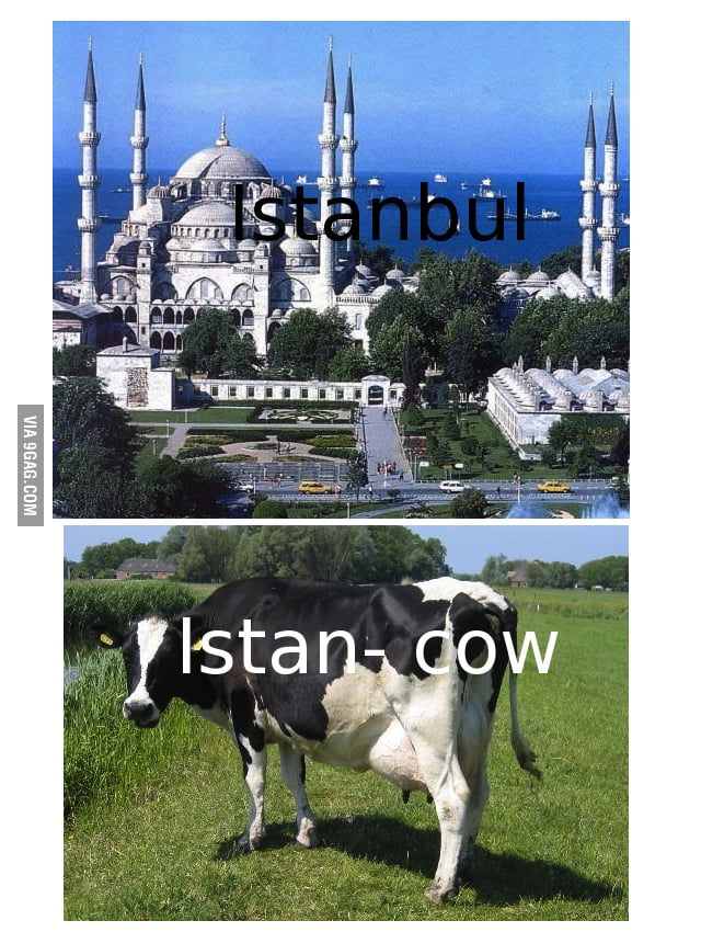 What if we fly to istan-cow?? - 9GAG