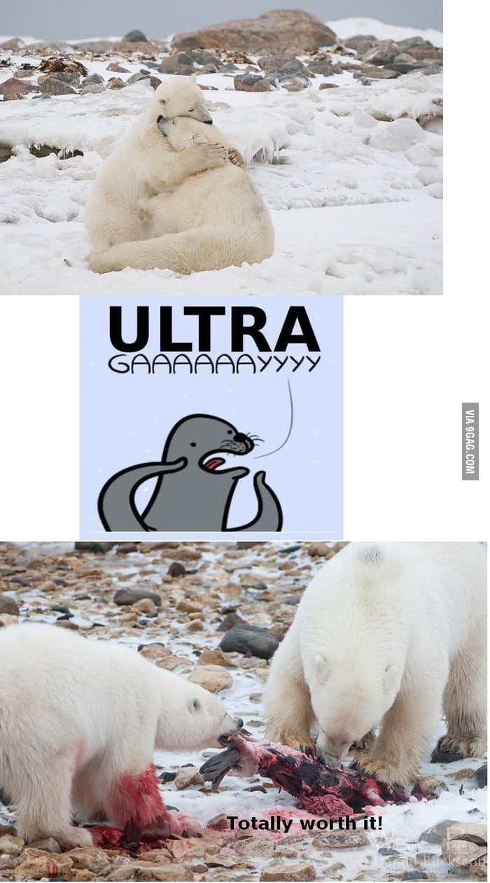 Ultra GAY! - 9GAG