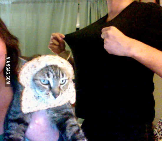 Old long johnson/ Faith Hilling - 9GAG