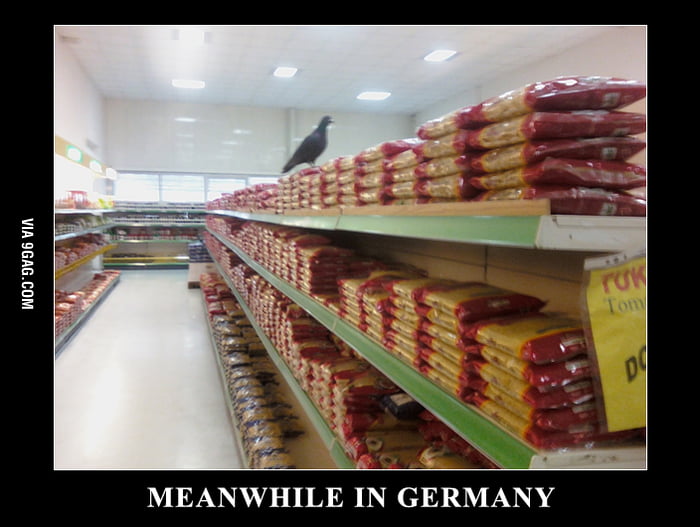Meanwhile in Germany - 9GAG
