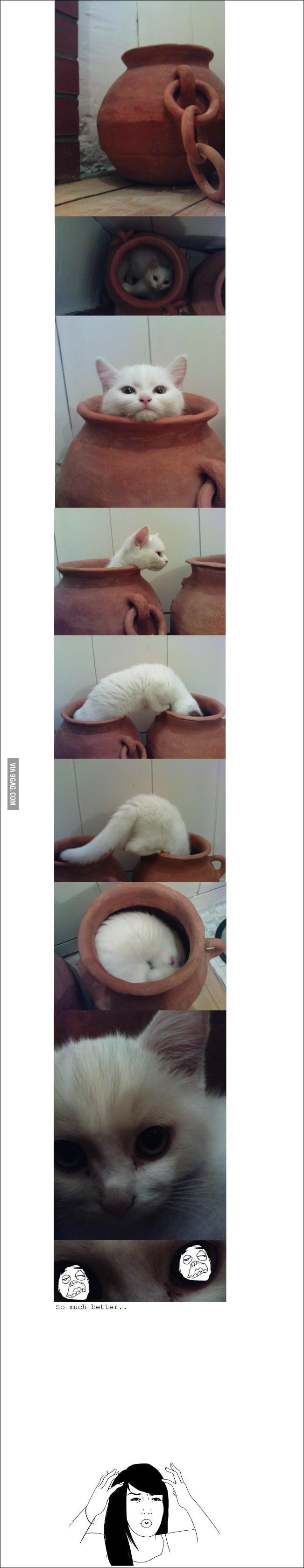 Cat's logic - 9GAG