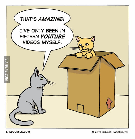 First world cat problems - 9GAG