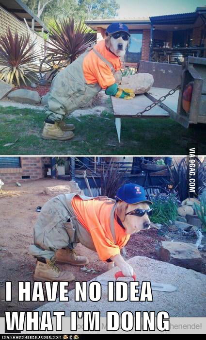 Dog the Builder - 9GAG