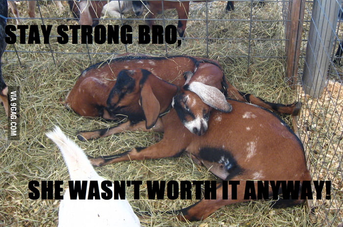 Stay strong bro!!! - 9GAG