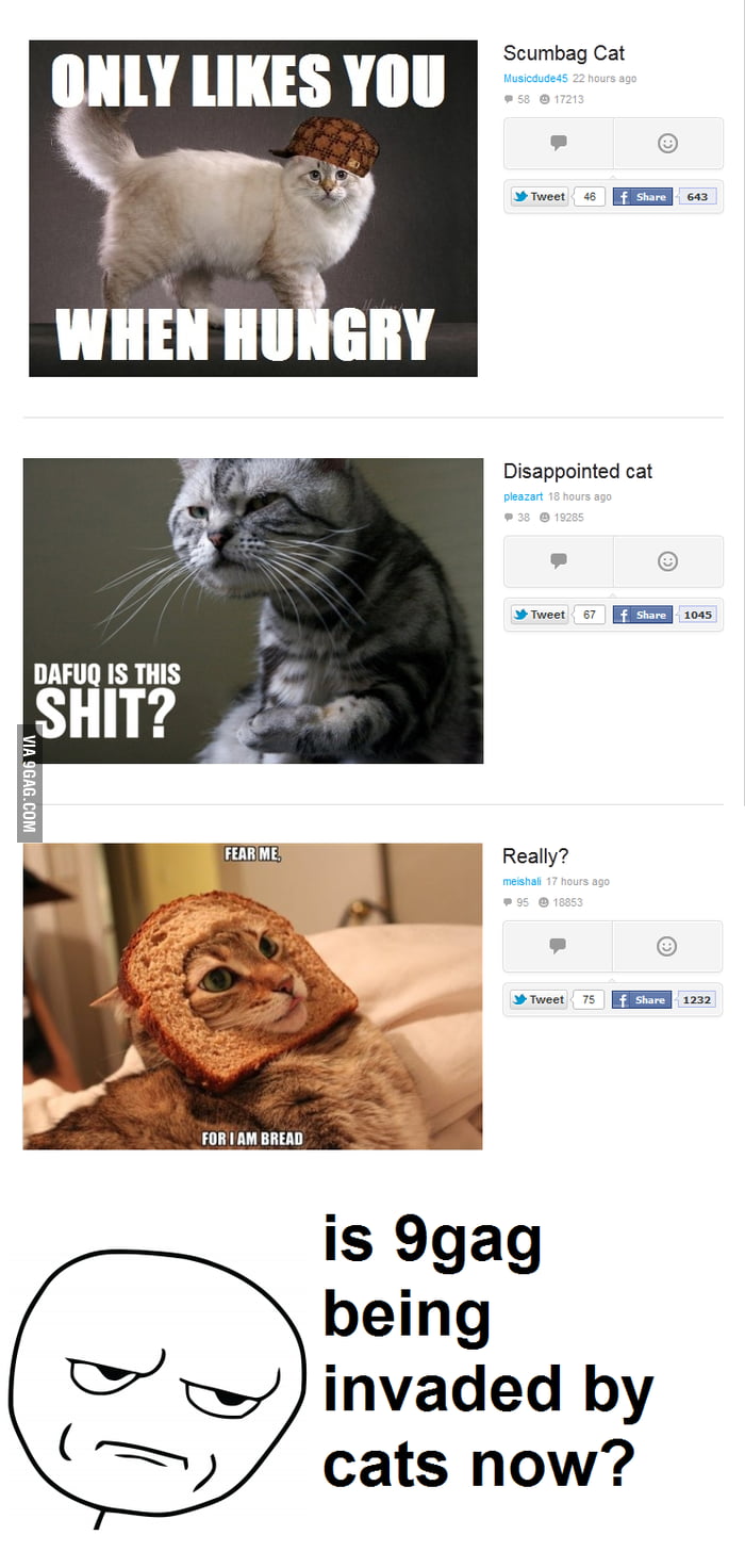 Brace ourselves... - 9GAG