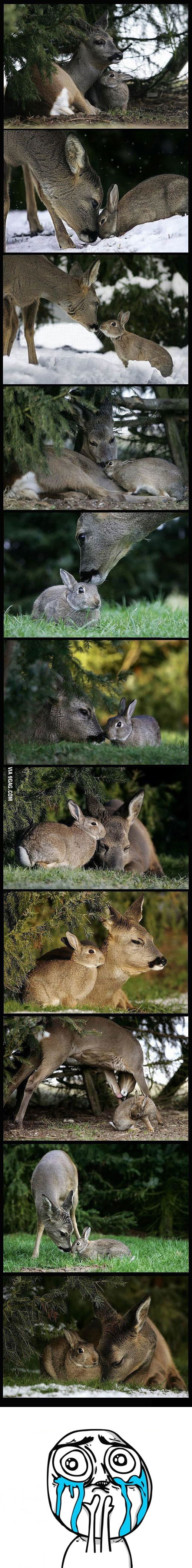 Is so cute!!! - 9GAG