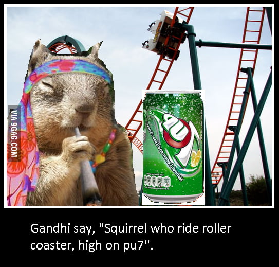 Squirrel Raid B Raid - 9GAG