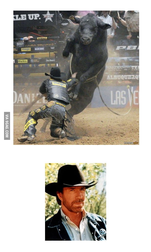Chuck Norris VS. Bull - 9GAG