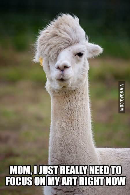 Misunderstood Emo Alpaca - 9GAG