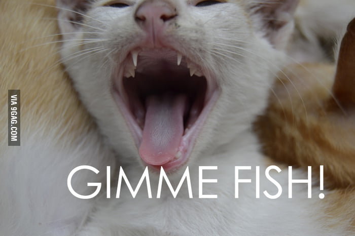 Selfish spoiled creature - 9GAG