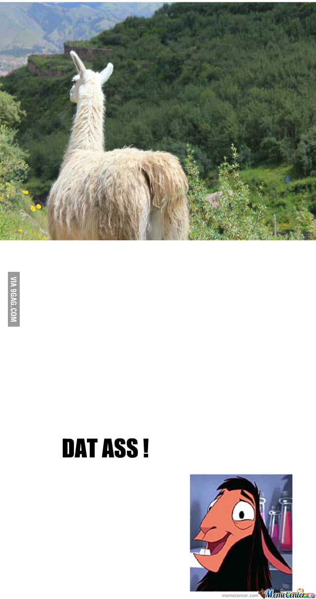 Dat Ass 9gag