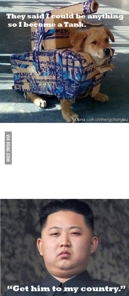 Tank Dog. - 9GAG