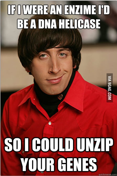 Now that's how you woo a lady! - 9GAG