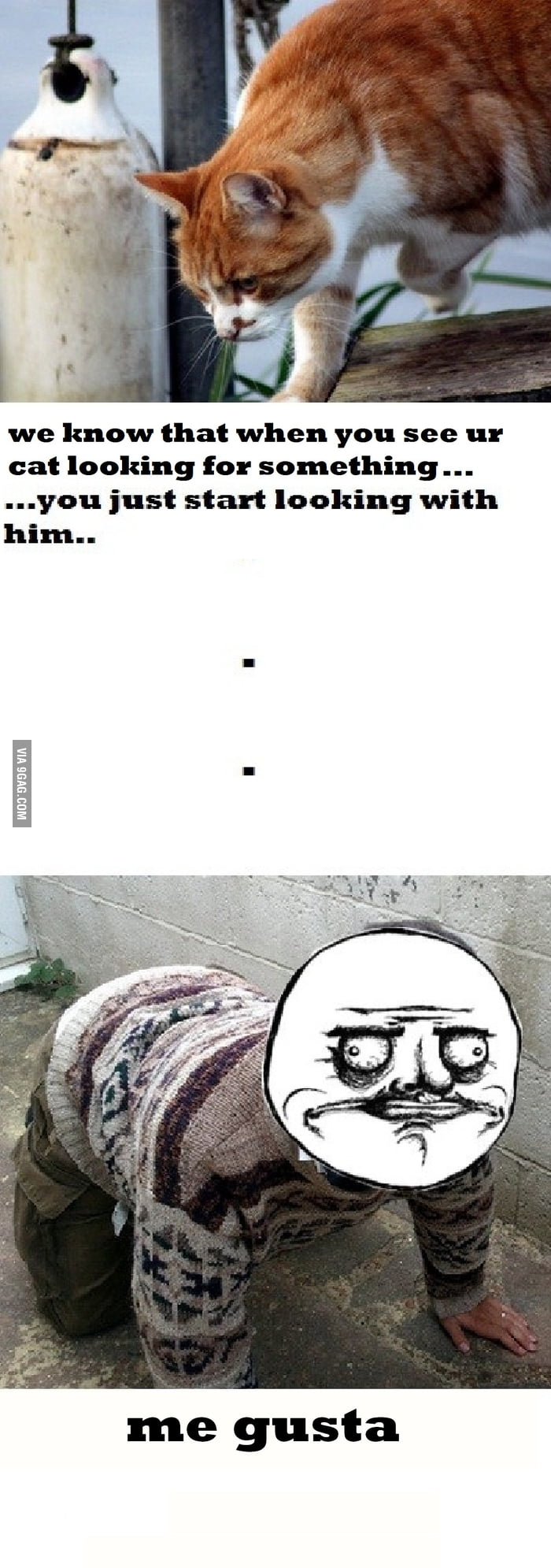 We know.. - 9GAG