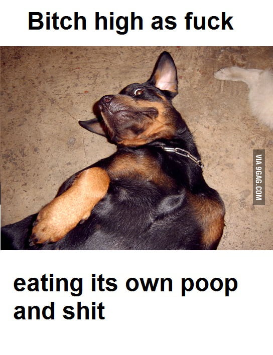 High as f**k - 9GAG