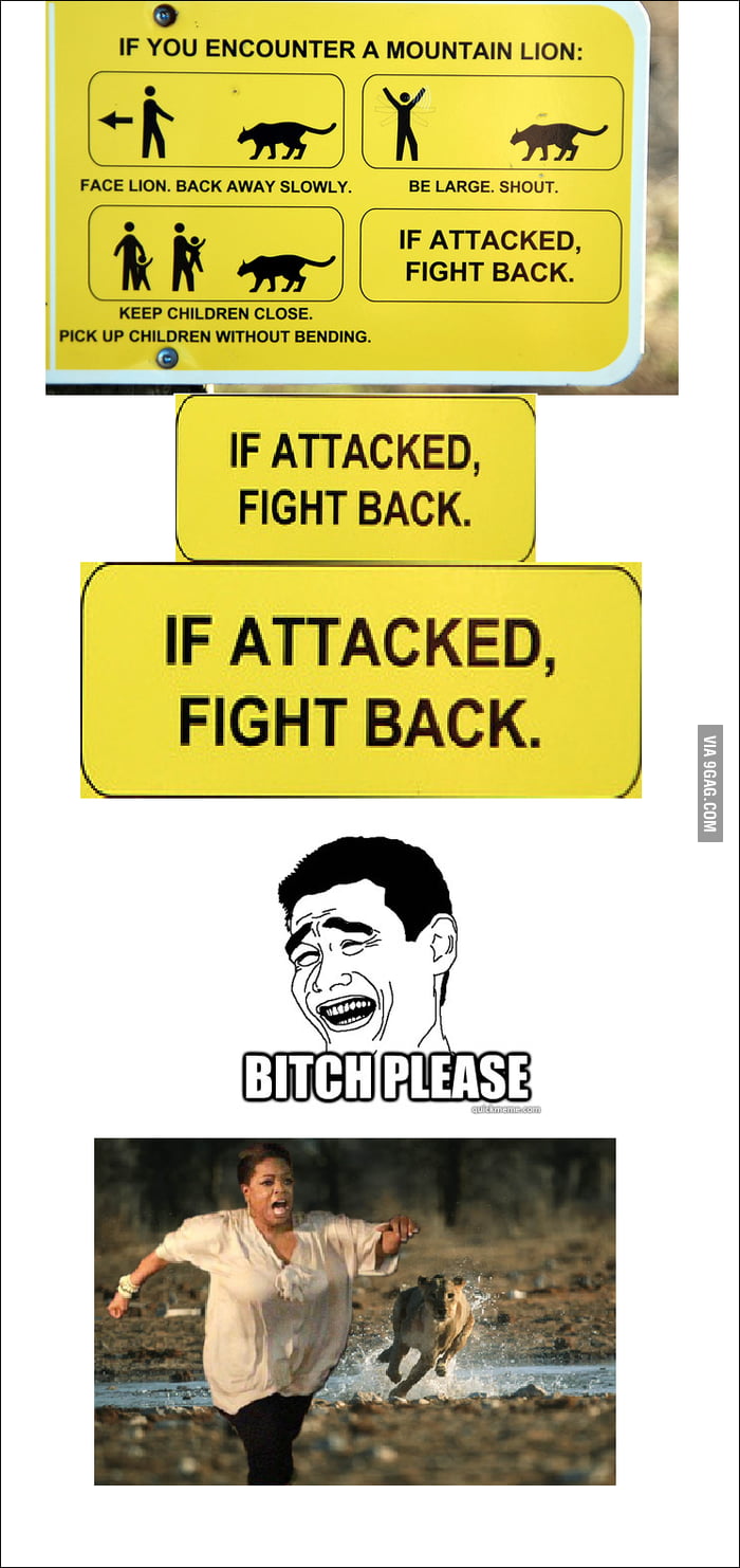 Y U NO FIGHT? - 9GAG