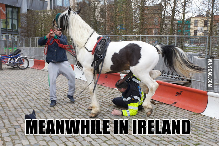 Meanwhile in Ireland. - 9GAG
