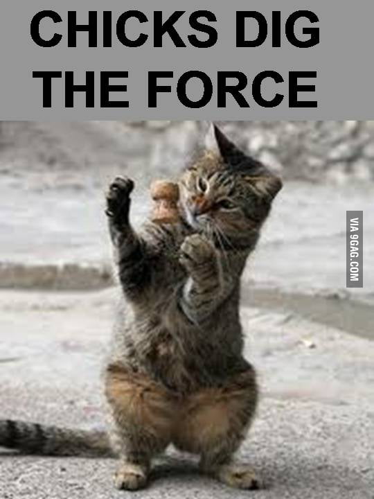 Chicks dig the force - 9GAG