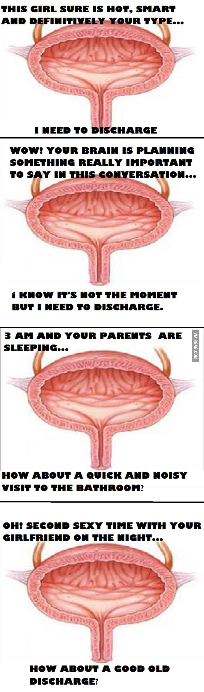 Scumbag bladder is scumbag - 9GAG