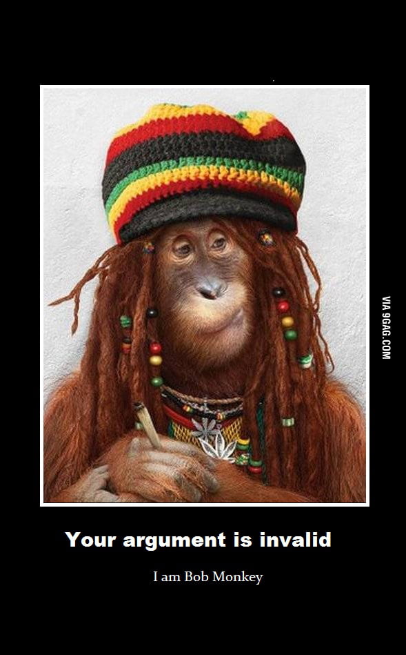 Bob monkey - 9GAG