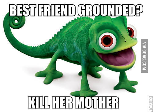 Oh Pascal - 9GAG