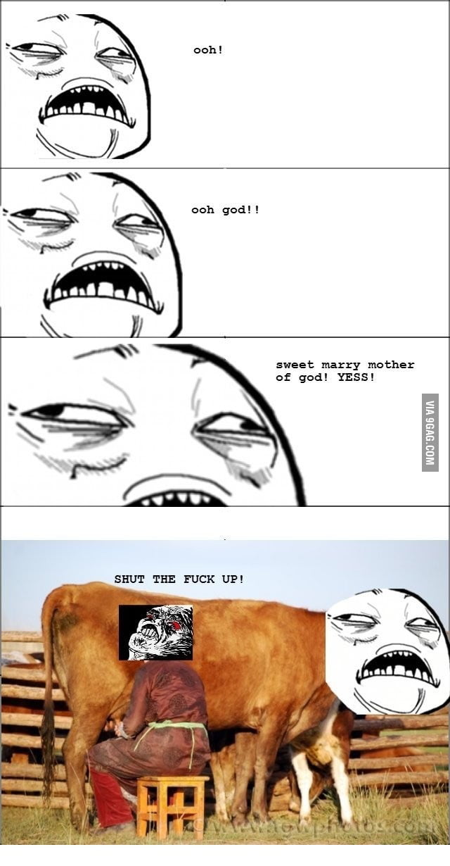 Holy Cow - 9GAG