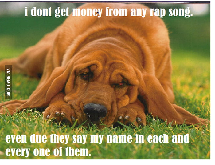Sup dog.. - 9GAG