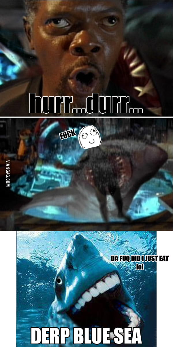DERP BLUE SEA - 9GAG