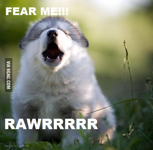 Rawrrrrr - 9GAG