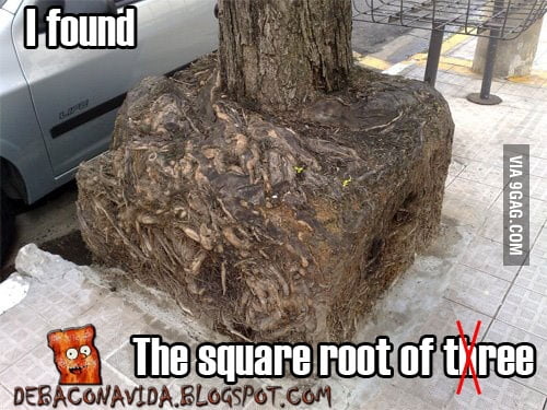 The square root of tree - 9GAG