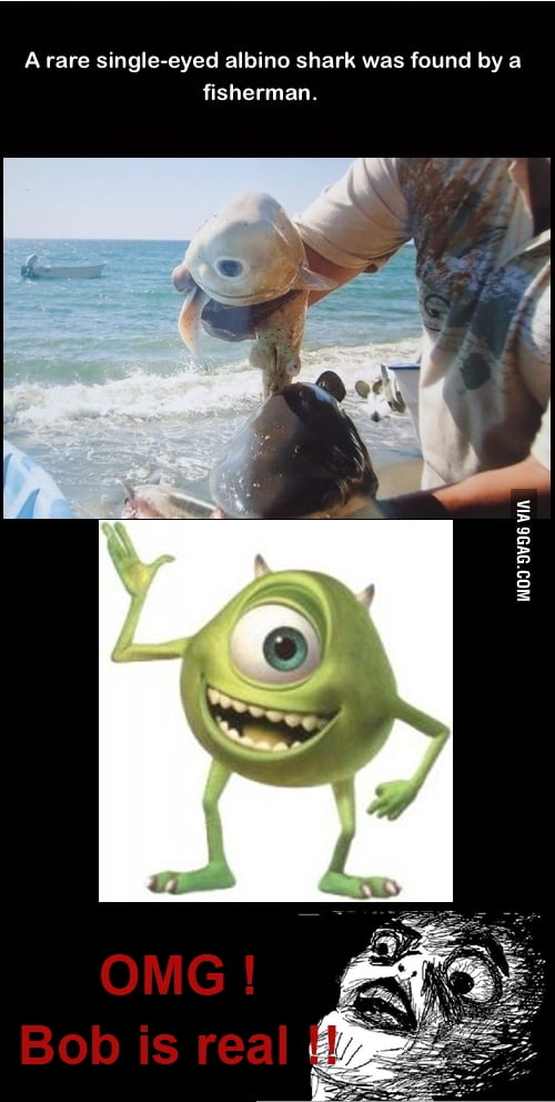So, where is Sully ? - 9GAG