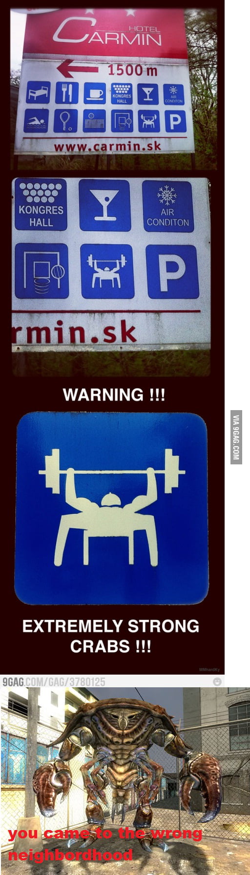 Giant strong crabs - 9GAG