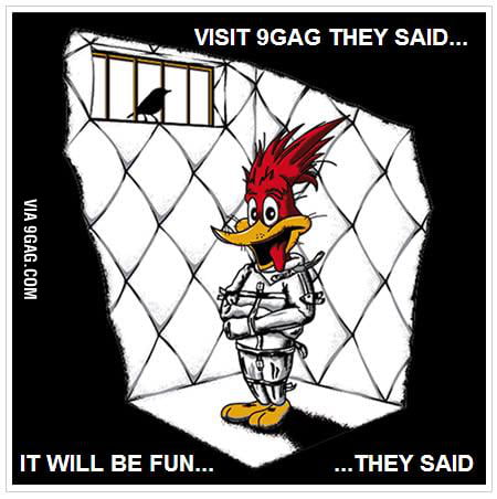 It will be fun... - 9GAG