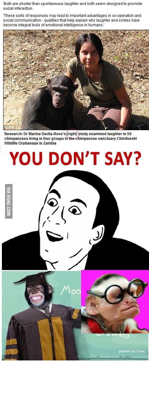 Monkey Business - 9GAG