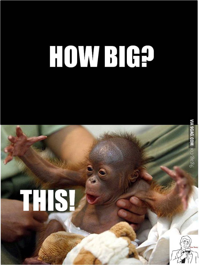 This big. - 9GAG