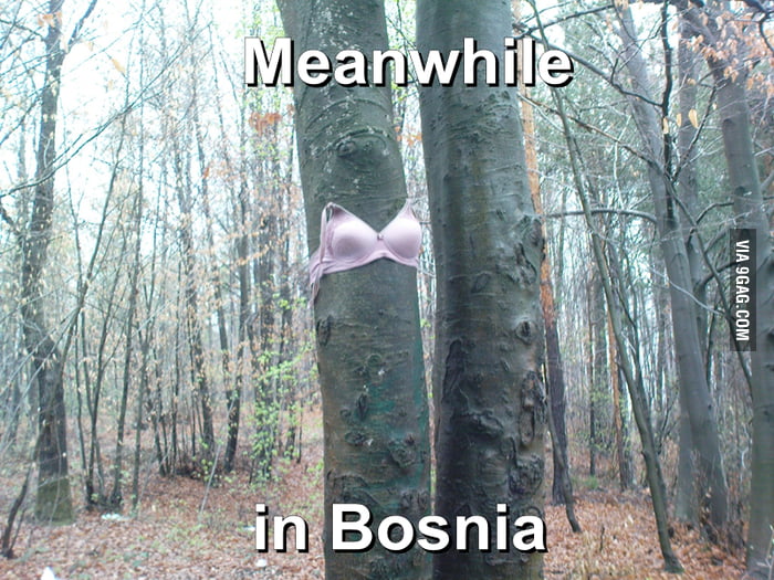 Meanwhile in BiH - 9GAG
