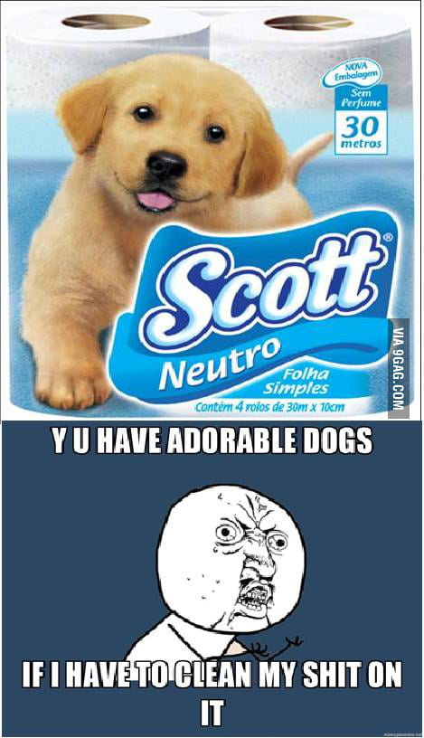 Adorable shit cleaner - 9GAG
