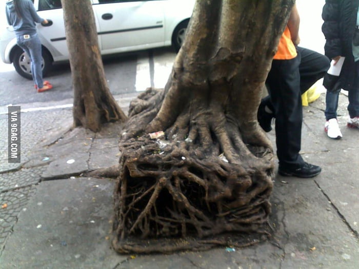 Real life square root 2nd version - 9GAG