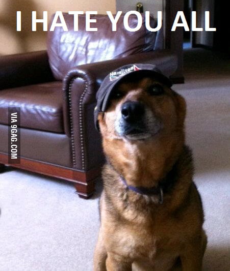 Upset dog is upset - 9GAG