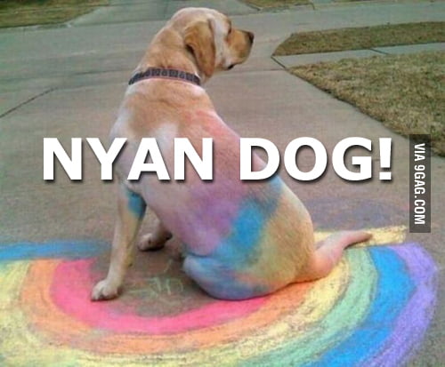 Nyan Dog! - 9GAG