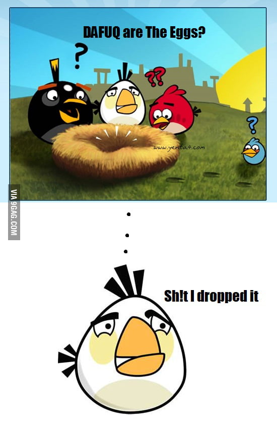 Angry Birds Traitor - 9GAG