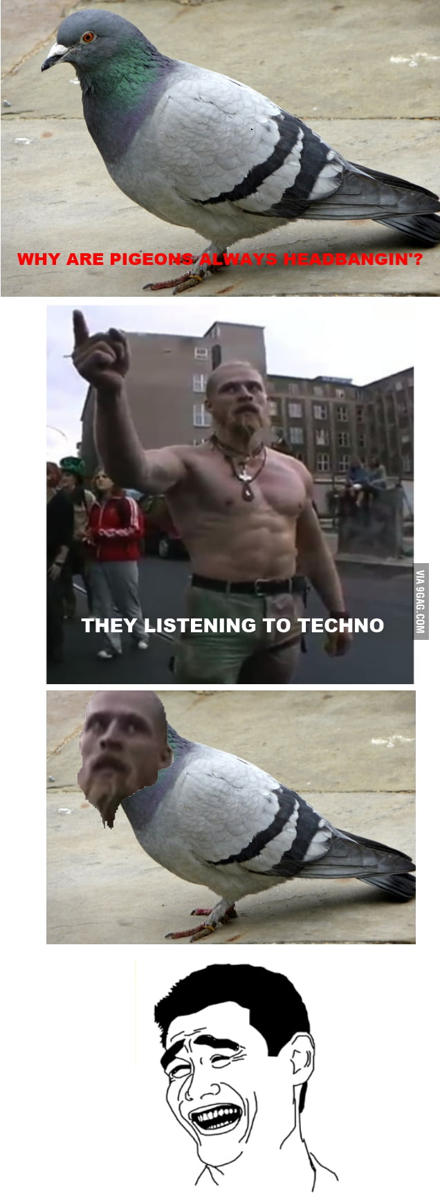 Techno Pigeons - 9GAG