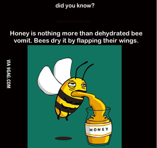 Just bees trolling - 9GAG