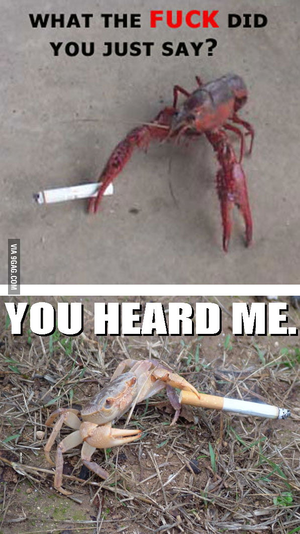 Angry Crabs - 9GAG