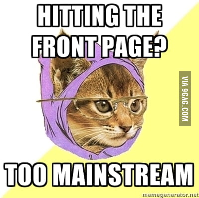 Modest hipster cat is modest - 9GAG
