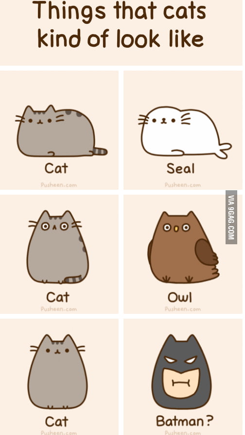 Nananananananan catman! - 9GAG