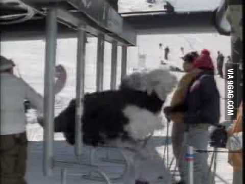 Da Fuk did I just see?! - 9GAG