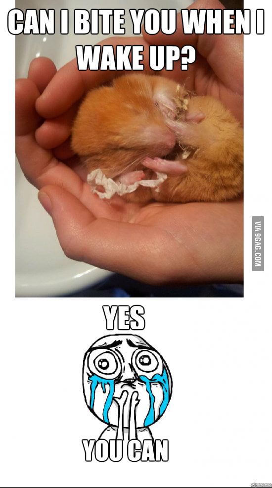 Can I bite you? - 9GAG