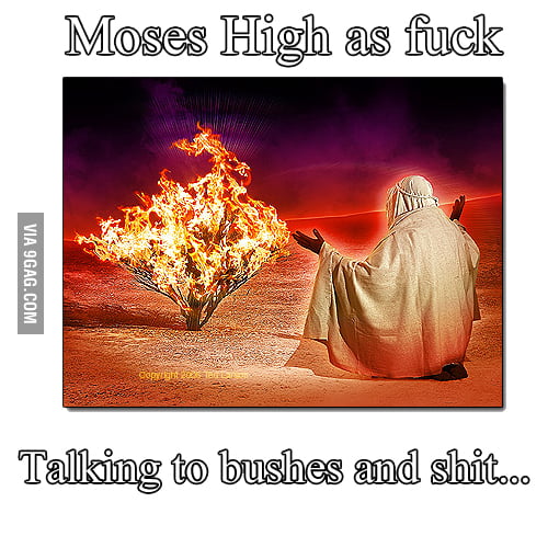 High as f**k... - 9GAG