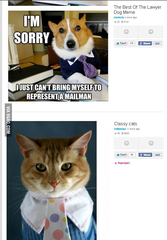 Lawyer Dog Vs Classy Cat - 9GAG